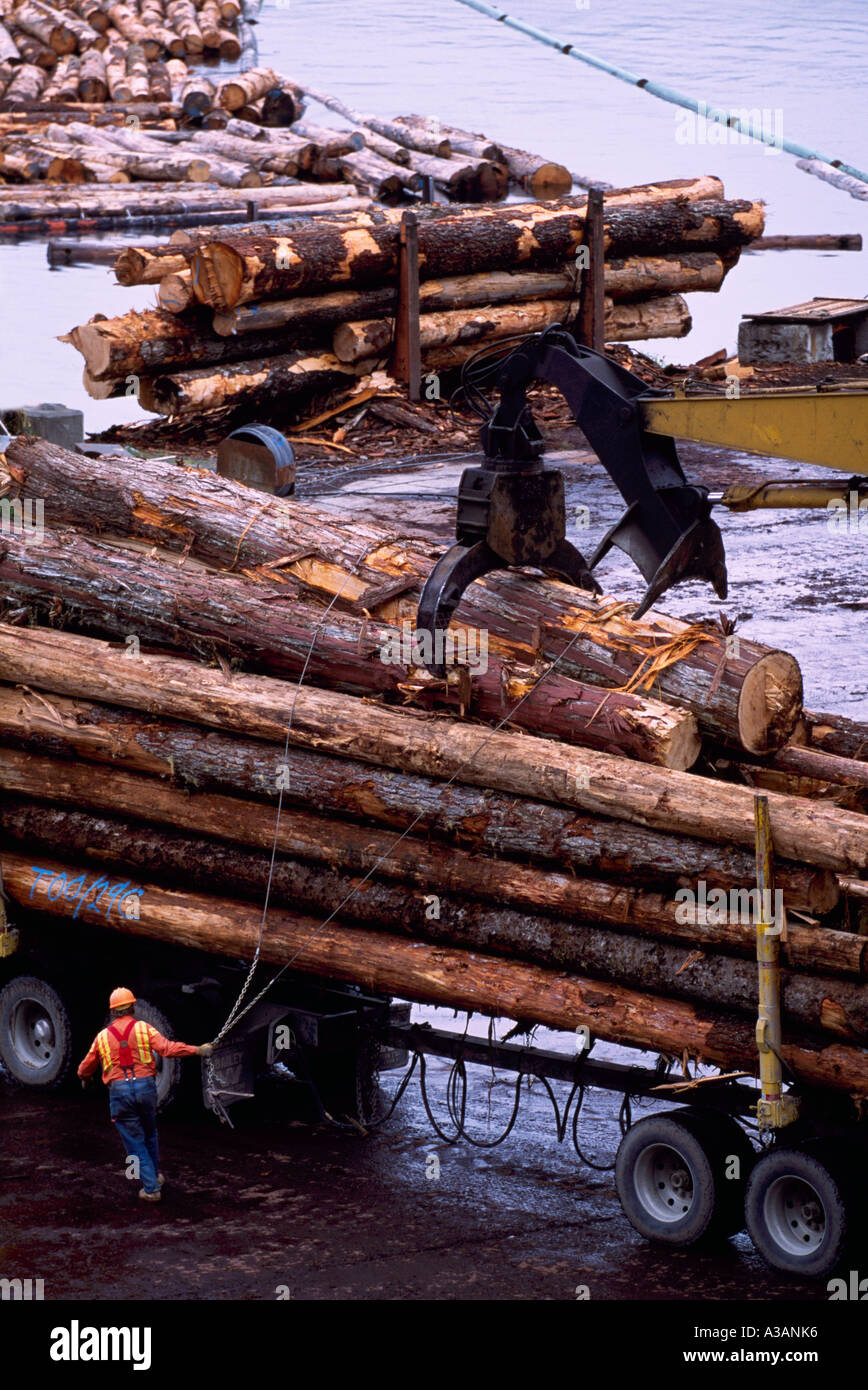 Lumber mill log storage with logging equipment hi-res stock photography ...