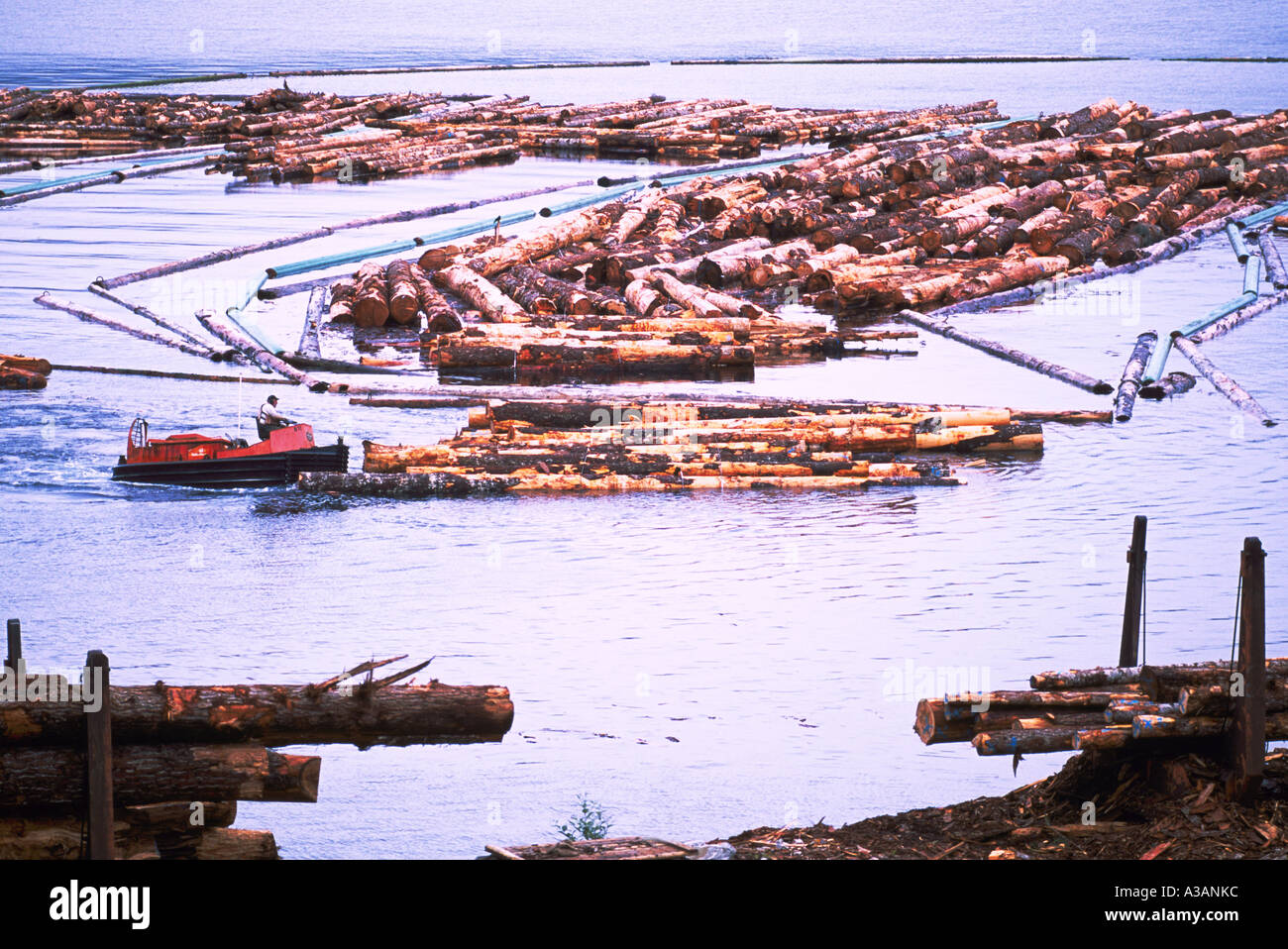 A Sidewinder sorting Logs into Booms at a Log Dump and Yard at Beaver ...