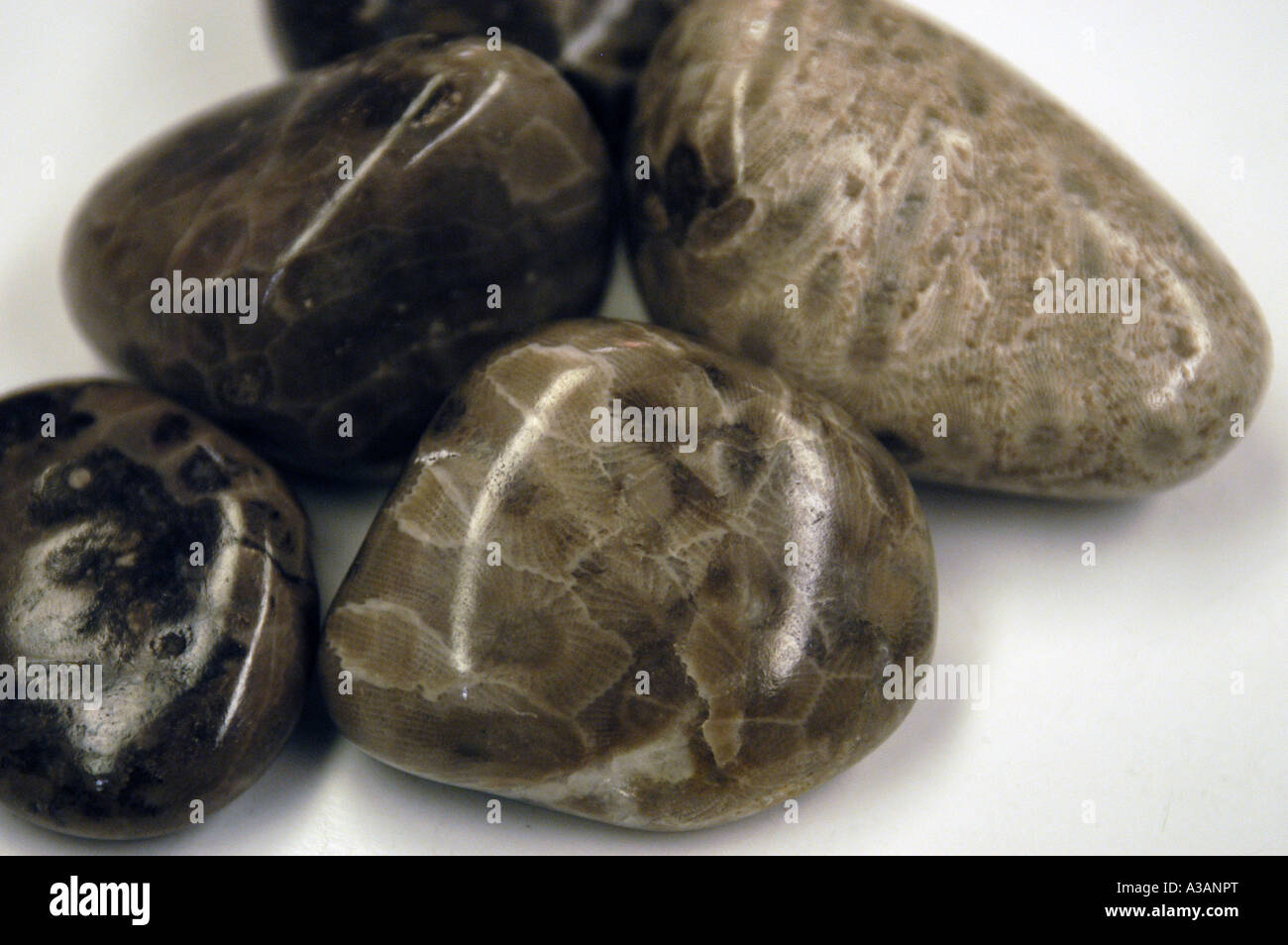 Petoskey hi-res stock photography and images - Alamy