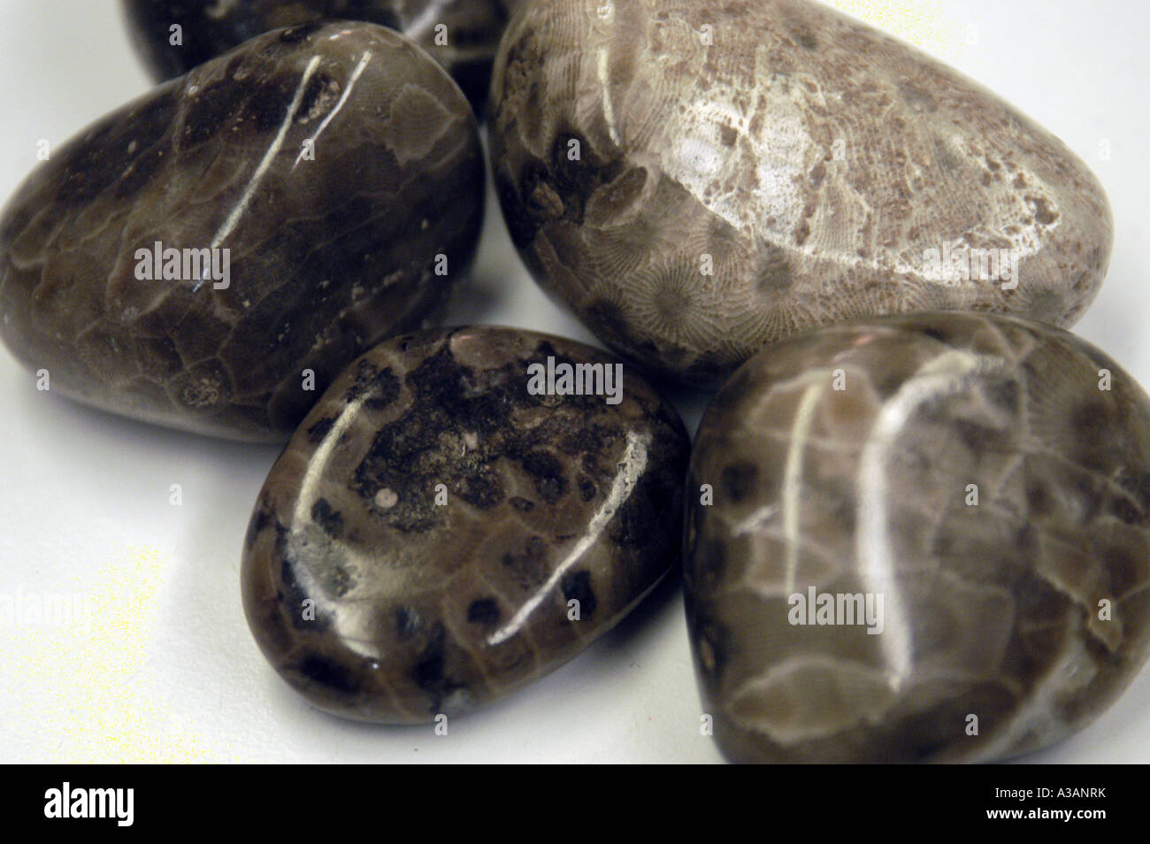 Petoskey hi-res stock photography and images - Alamy