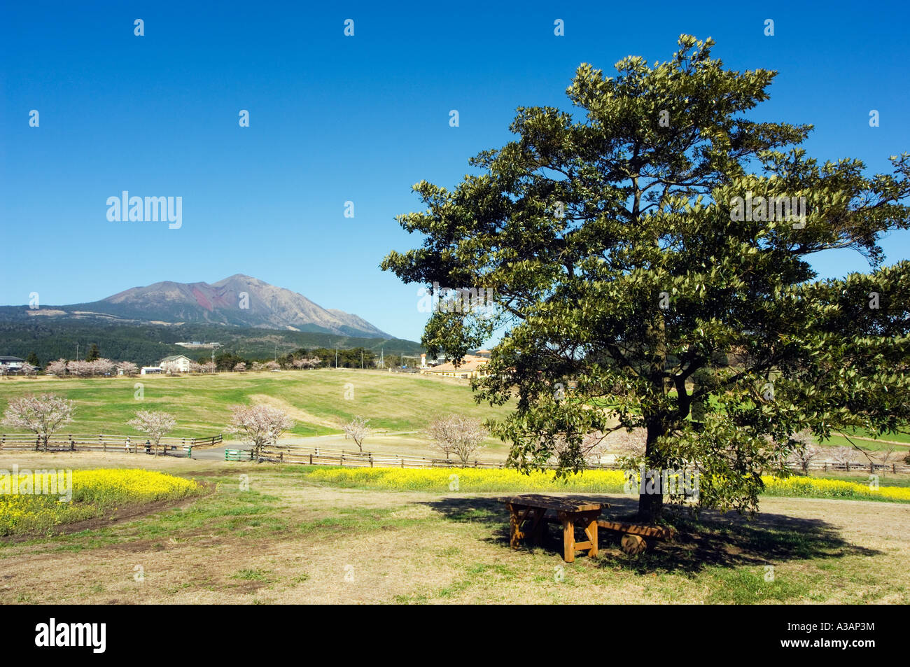 Takachiho Farm Kirishima National Park Kagoshima prefecture Kyushu ...