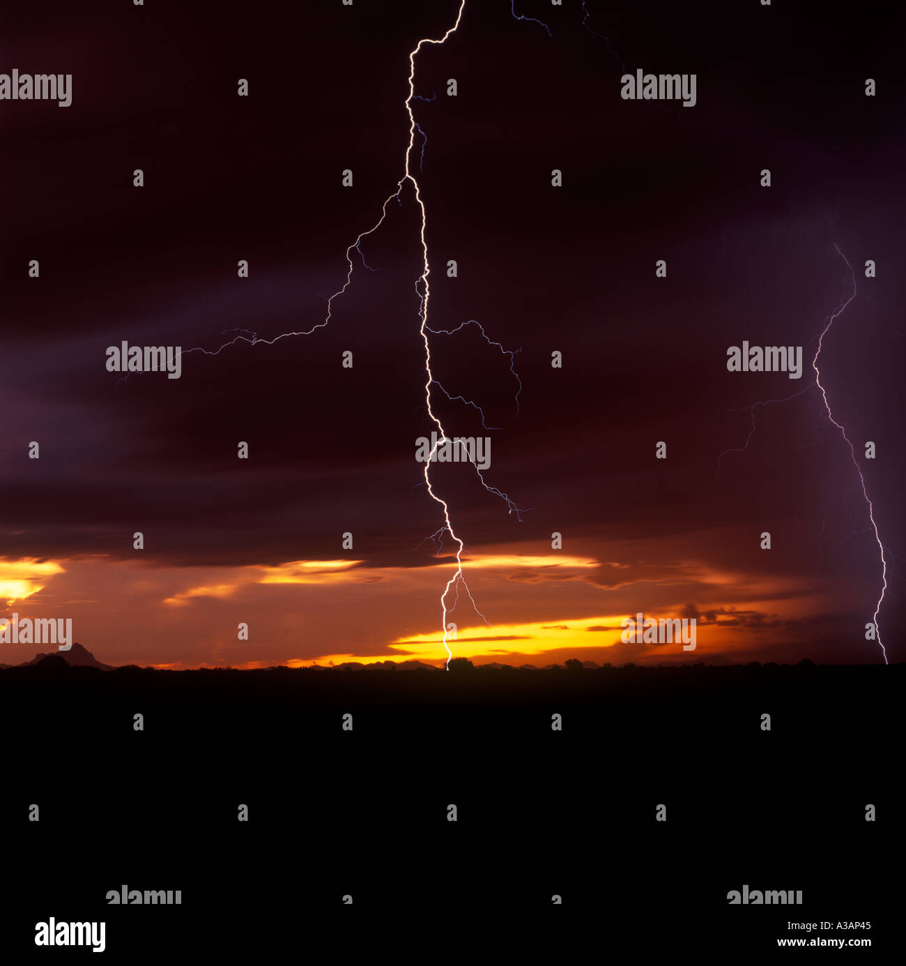 Stark powerful dramatic hi-res stock photography and images - Alamy