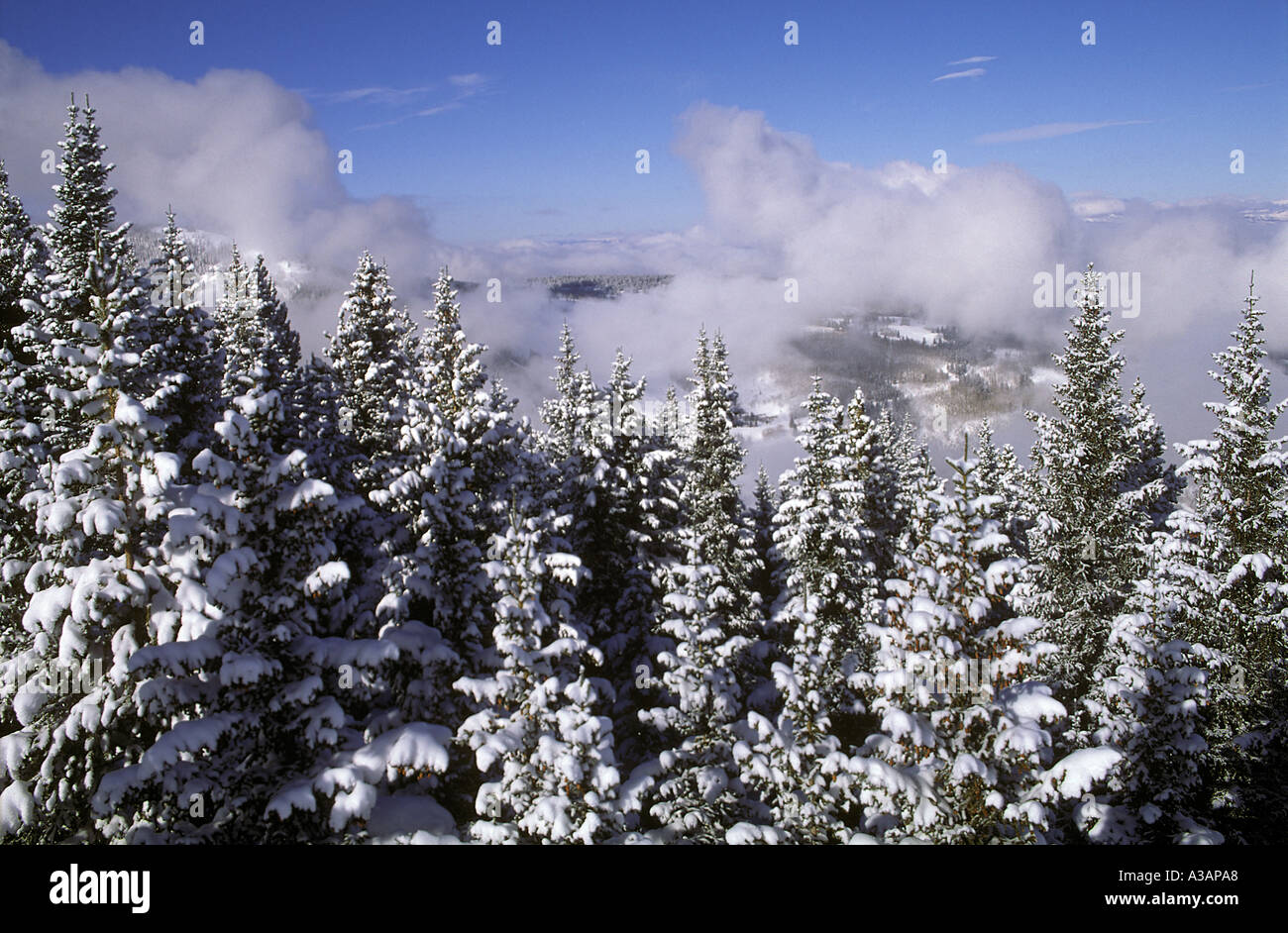 Colorado Vista White River National Forest Colorado Stock Photo - Alamy
