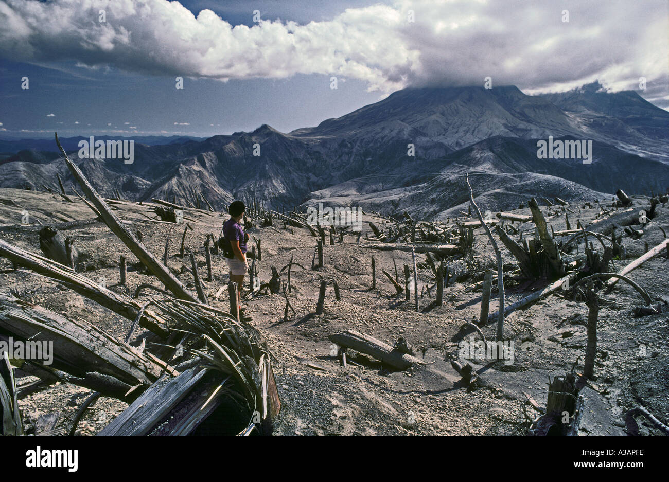 Mount St Helens Eruption Aftermath