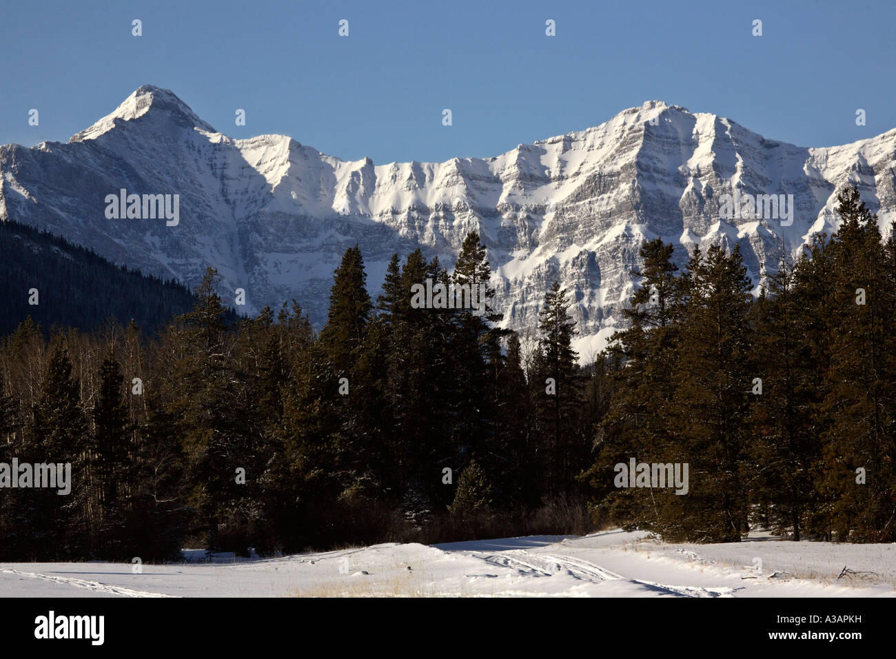 Rocky Mountains in winter Stock Photo - Alamy