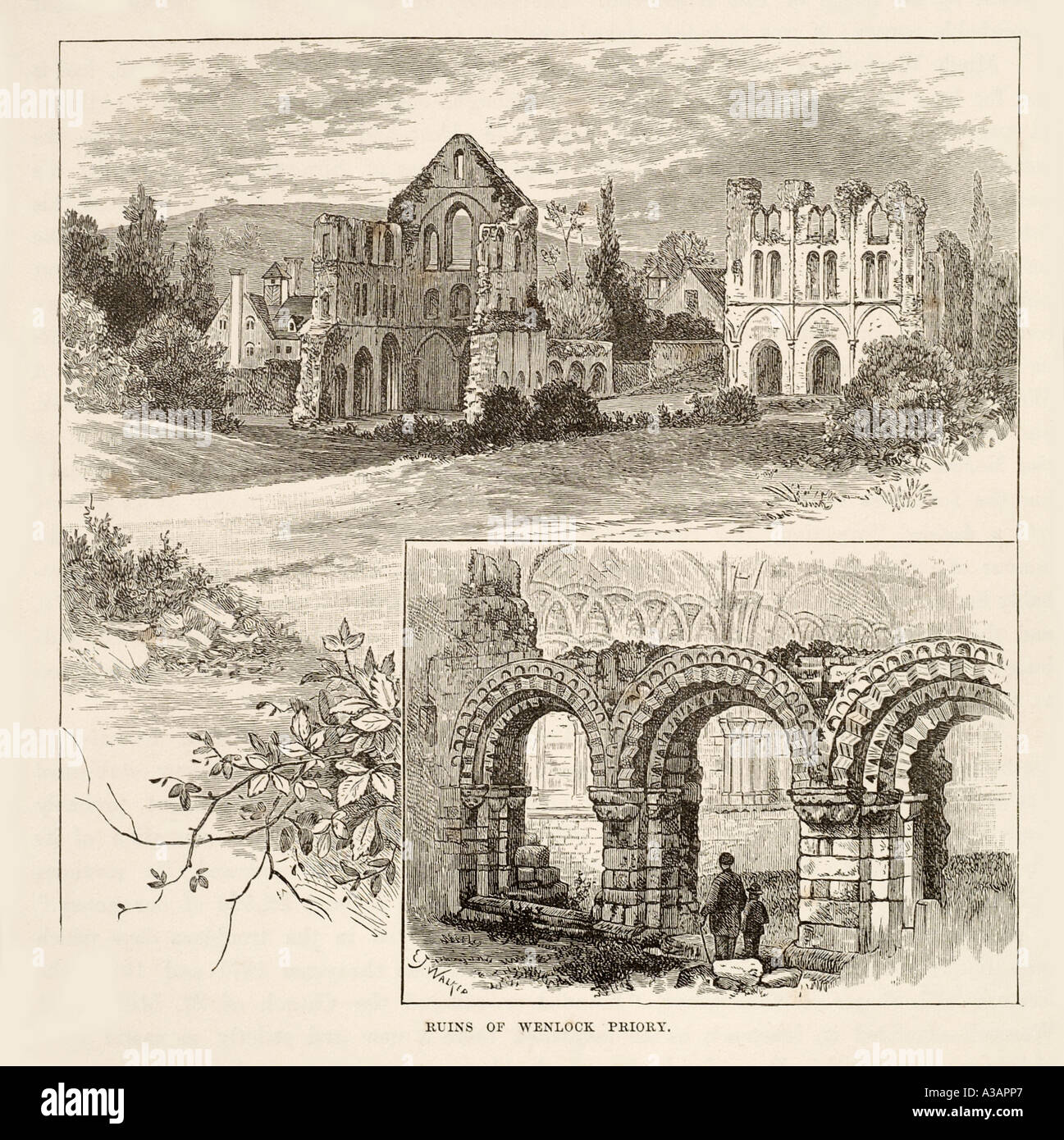 Wenlock hi-res stock photography and images - Alamy