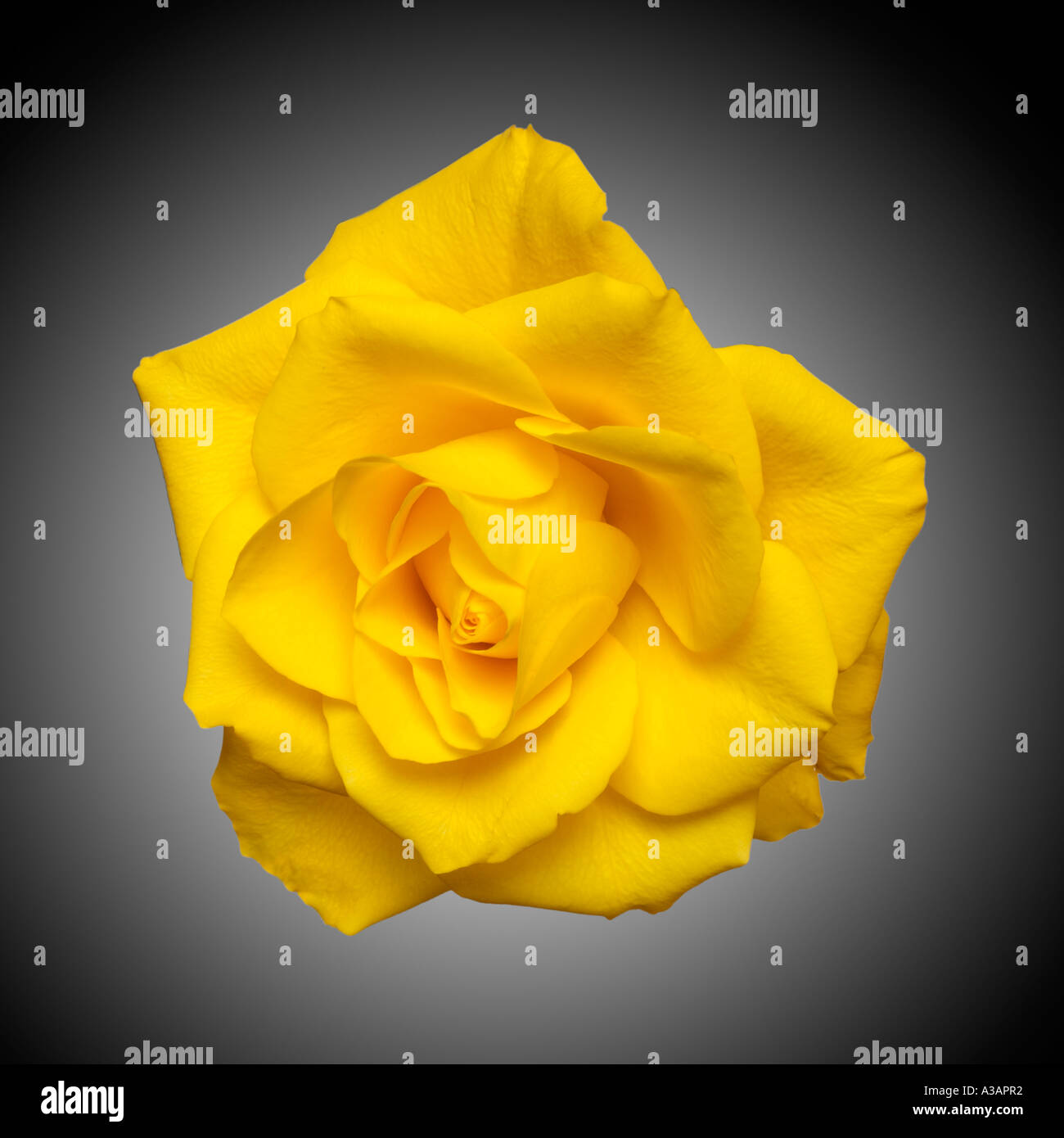 Stock area Cut Out Stock Images & Pictures - Alamy