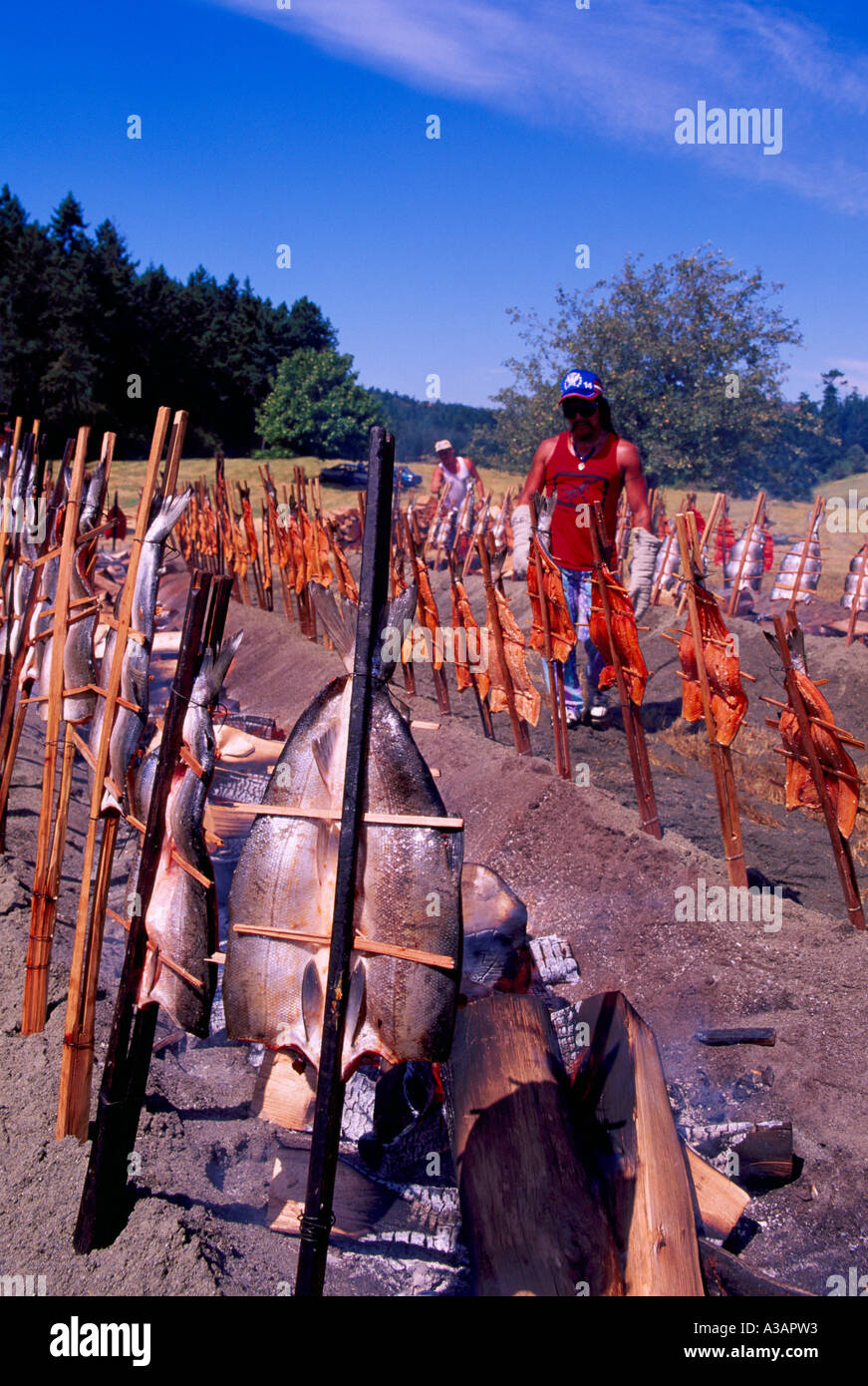 Wild Salmon Bake / Barbecue - Traditional Native Indian Style cooking ...