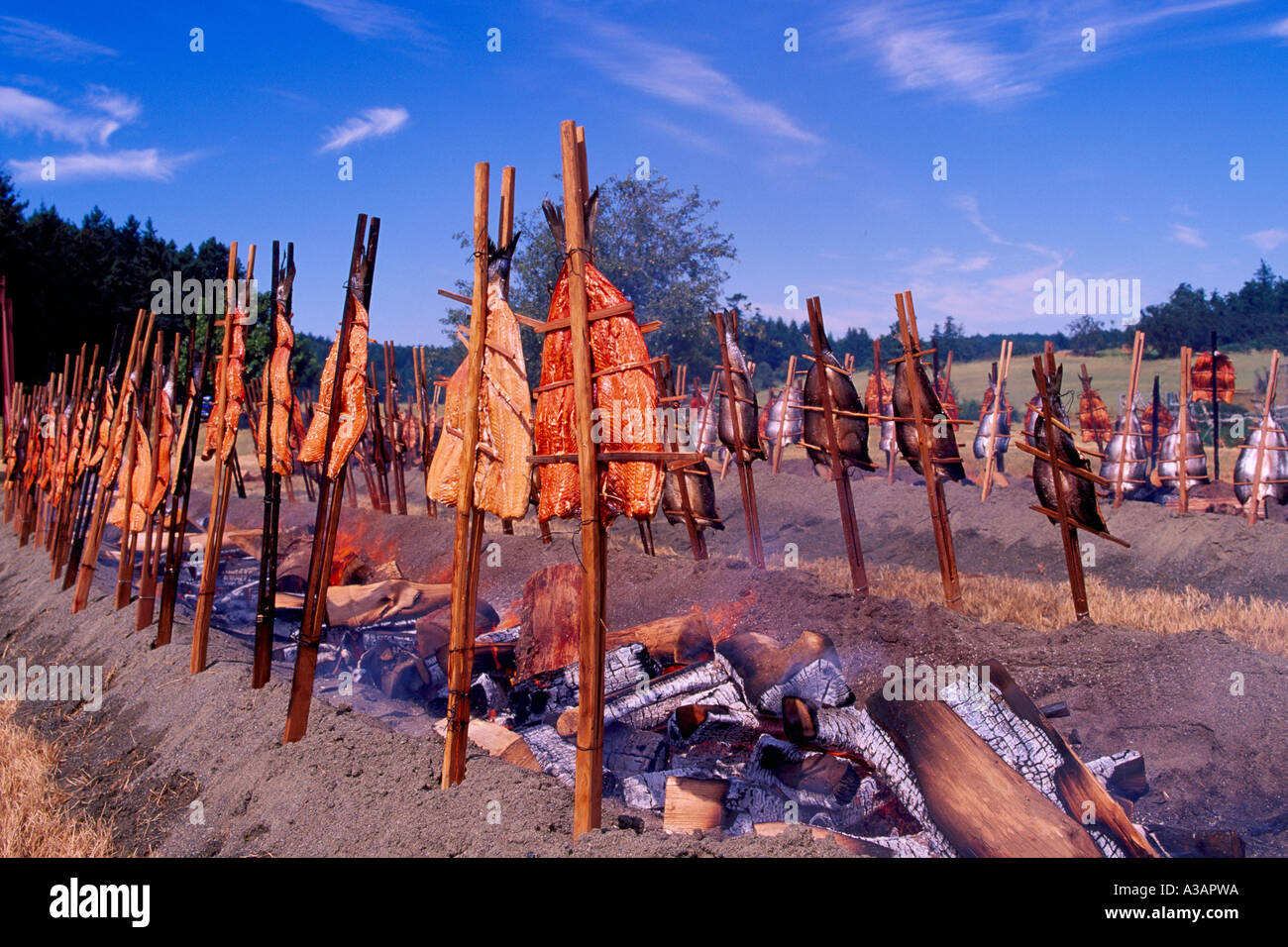 Traditional native american indian salmon hi-res stock photography and ...