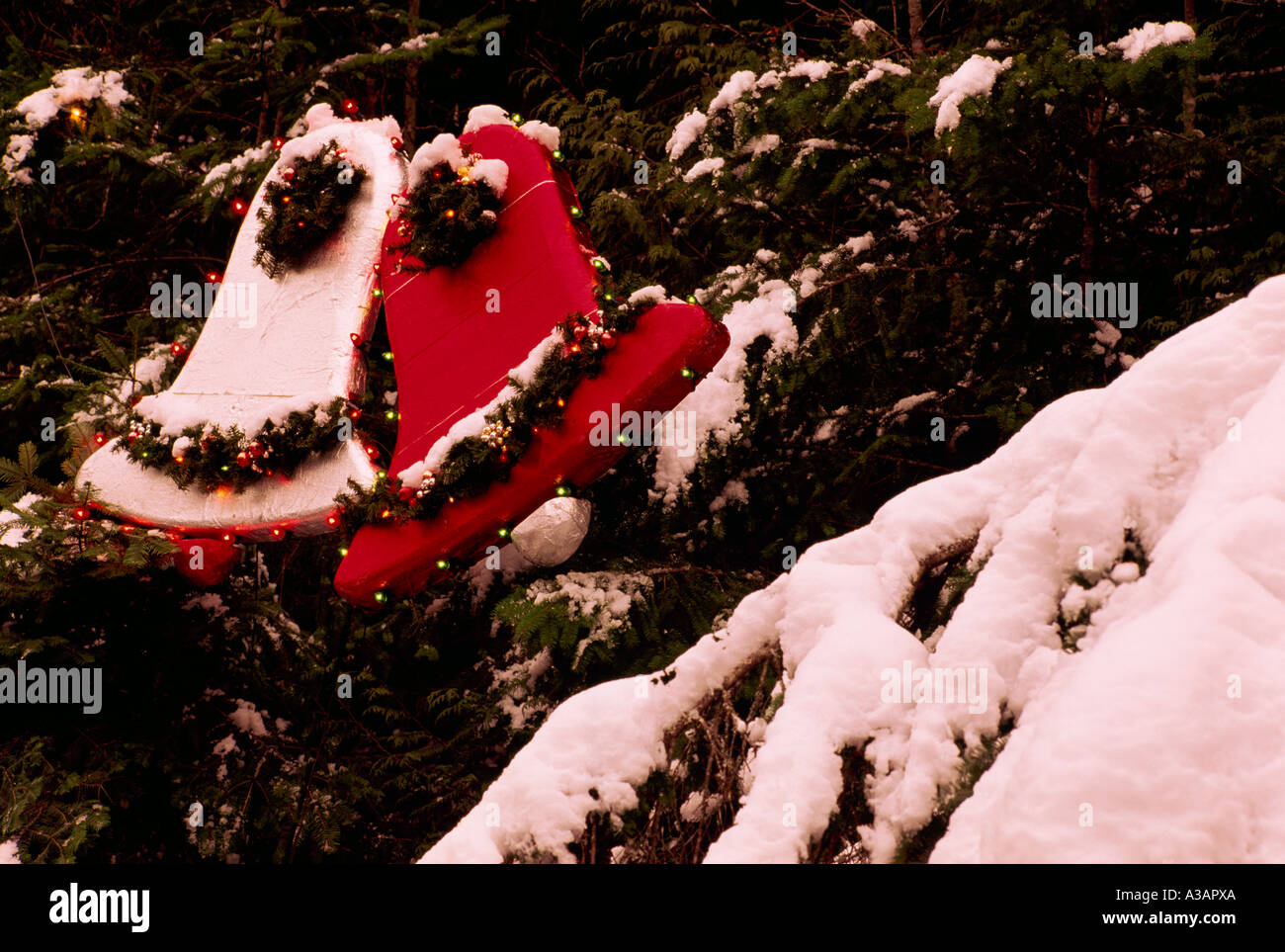 Christmas bell leaves hi-res stock photography and images - Alamy