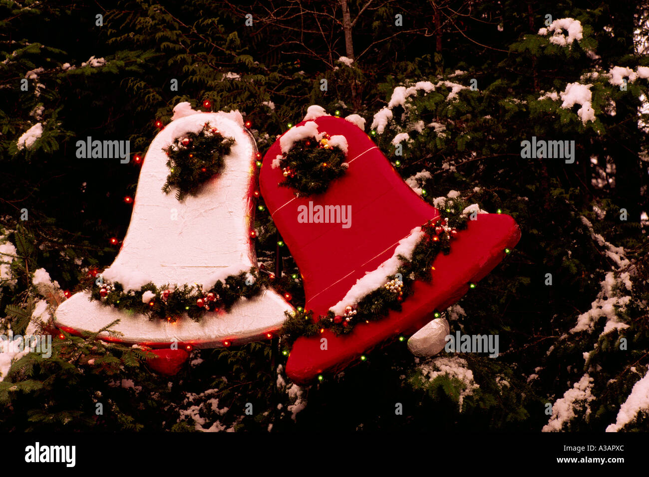 Christmas bell leaves hi-res stock photography and images - Alamy
