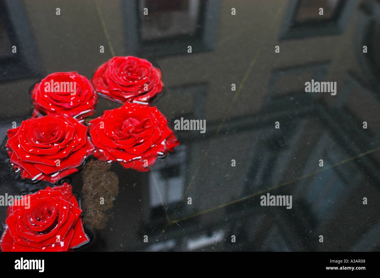 Quadrilatero Doro Milan Golden Shopping Rectangle