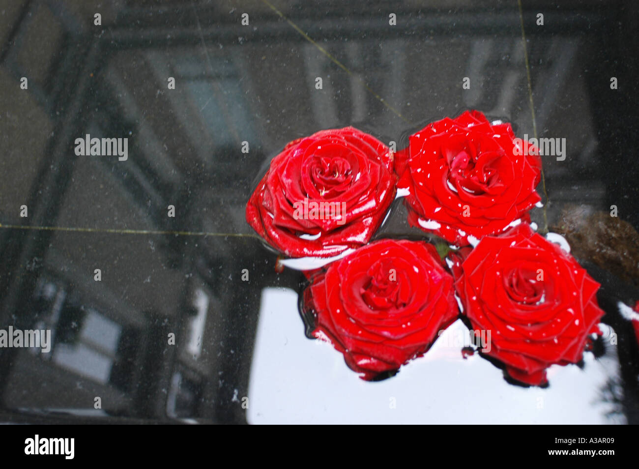 Quadrilatero Doro Milan Golden Shopping Rectangle