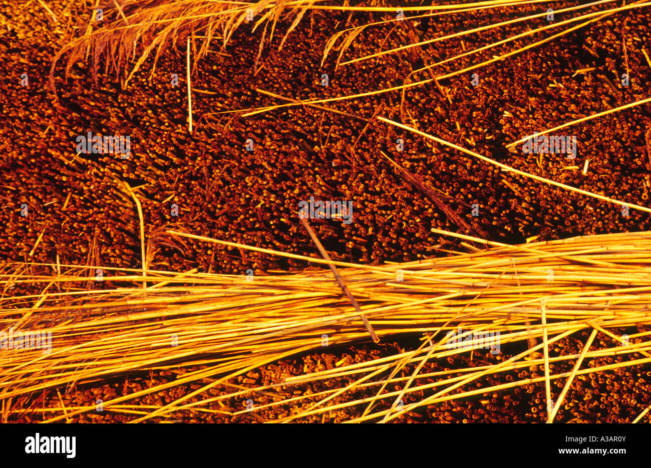 Thatching pattern hi-res stock photography and images - Alamy