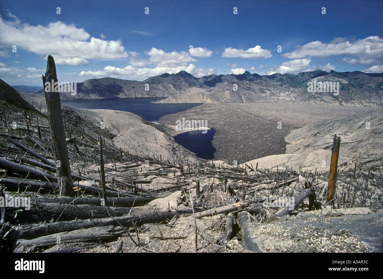 Fallen timbers spirit lake hi-res stock photography and images - Alamy