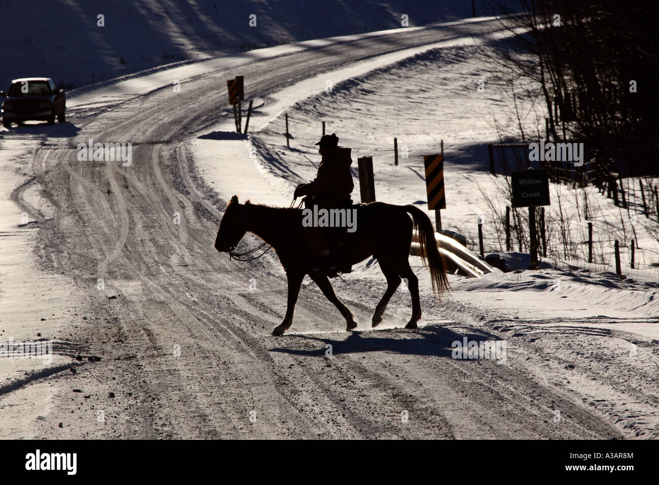 Horseback rider in winter Stock Photo - Alamy