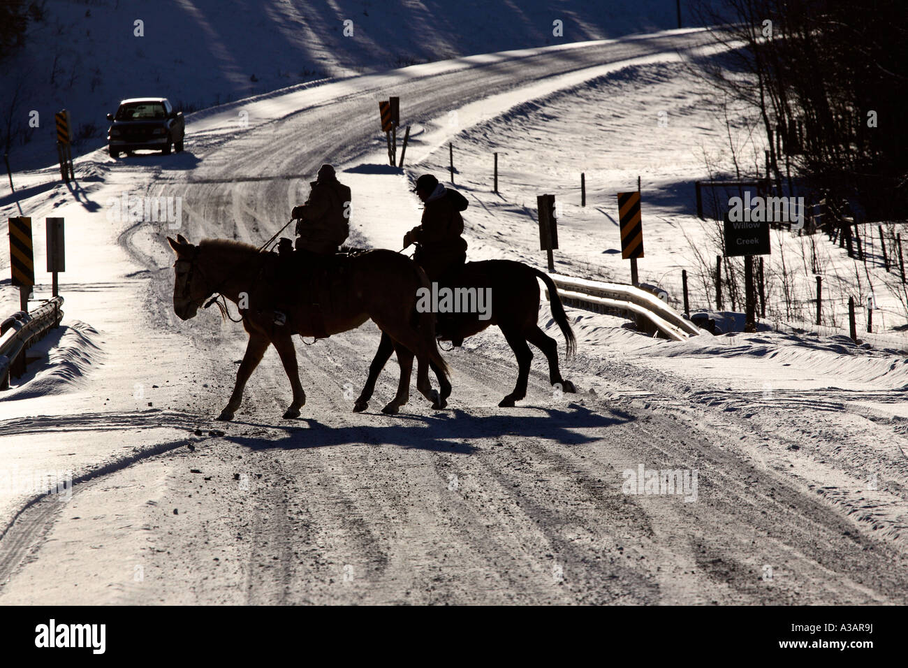 Horseback riders in winter Stock Photo - Alamy