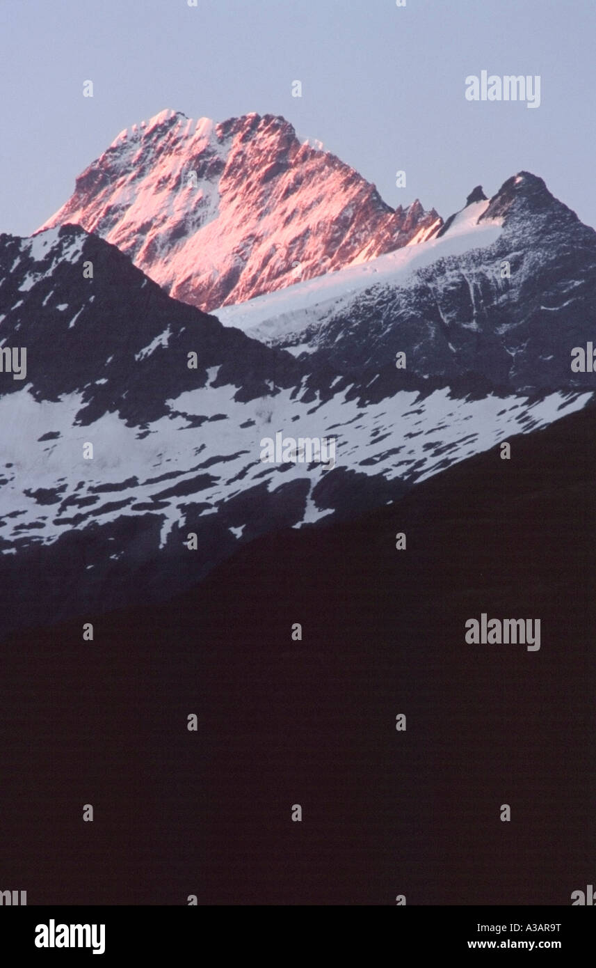 Tititea hi-res stock photography and images - Alamy