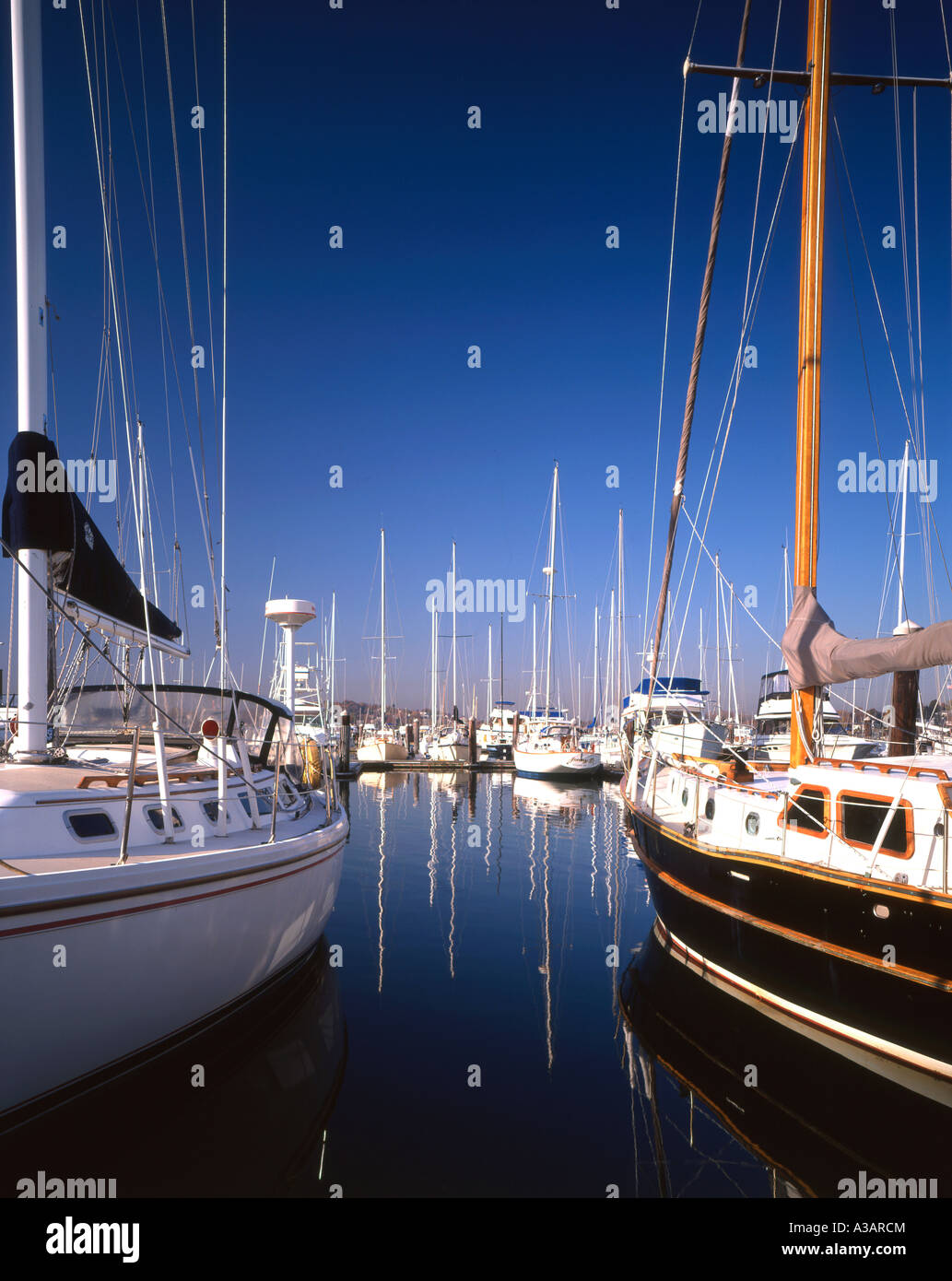 Sailboats Docked at Marina on a Beautiful Calm Day with clear deep blue ...