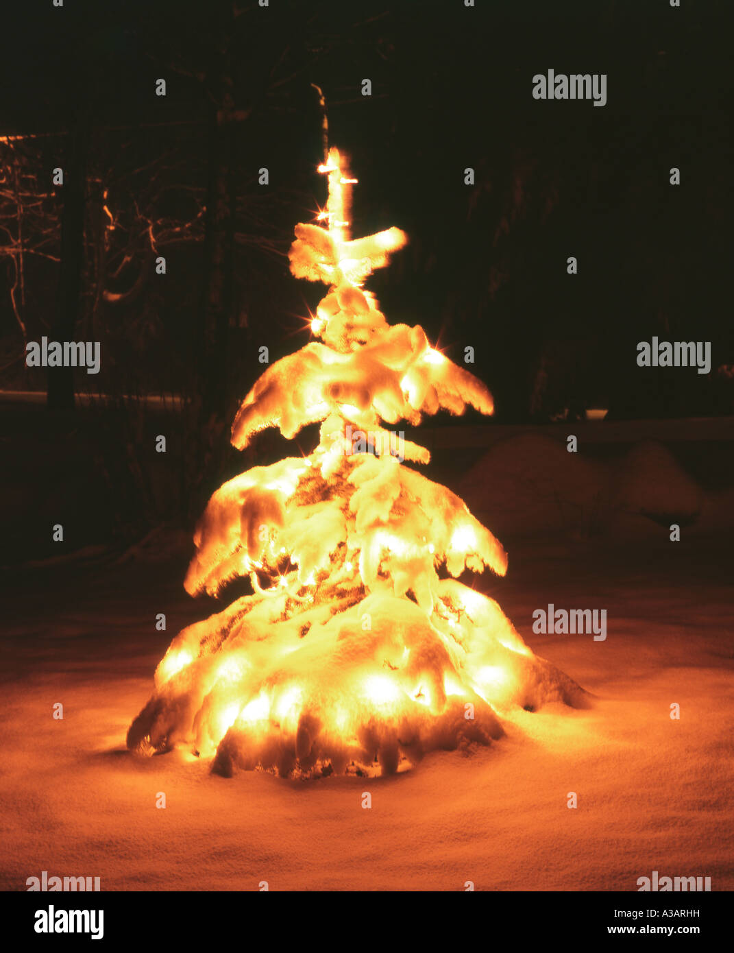 Christmas light displays usa hi-res stock photography and images - Alamy