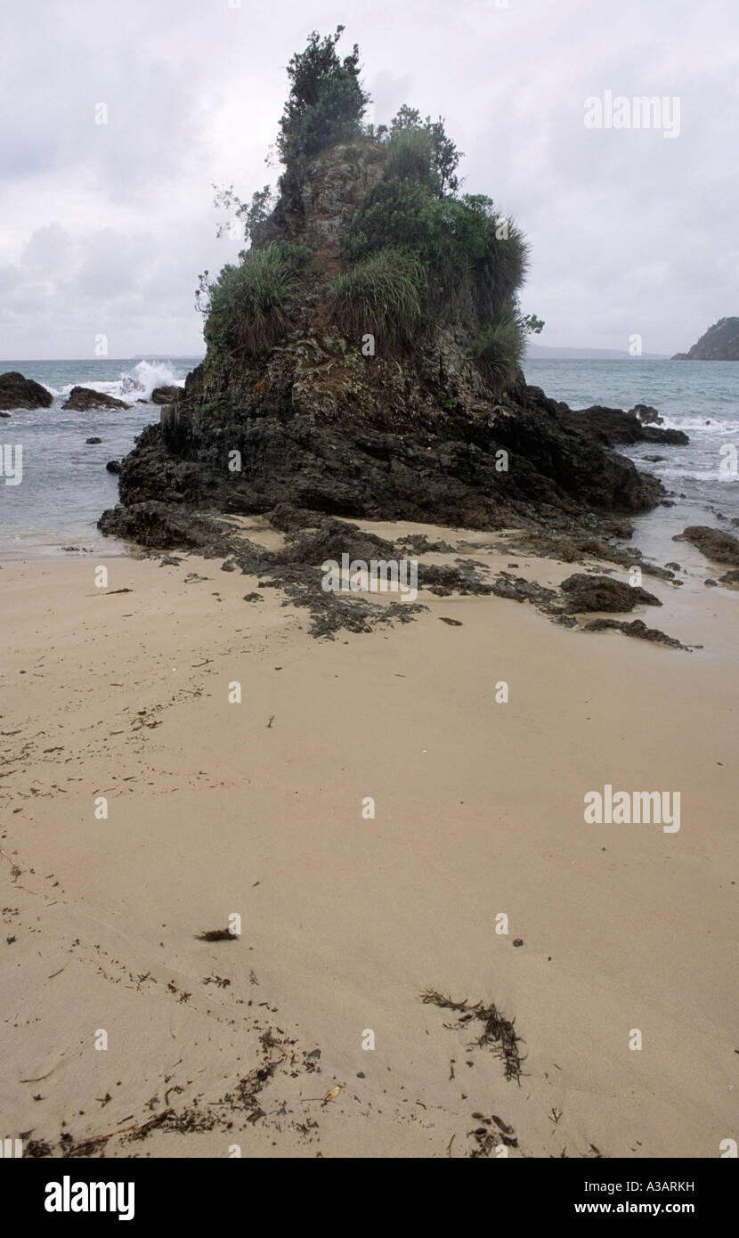 Beach with Rock Coromandel Peninsula Coromandel North Island New ...