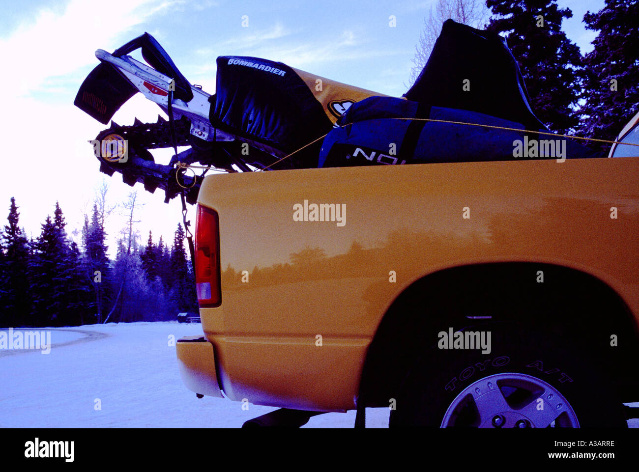 A Snowmobile on the Back of a Pickup Truck in Winter in the Northern ...