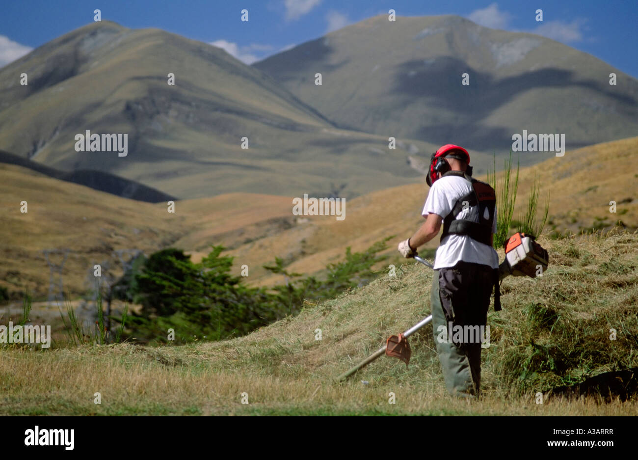 Man working with scrub cutter Central Otago New Zealand Stock Photo - Alamy