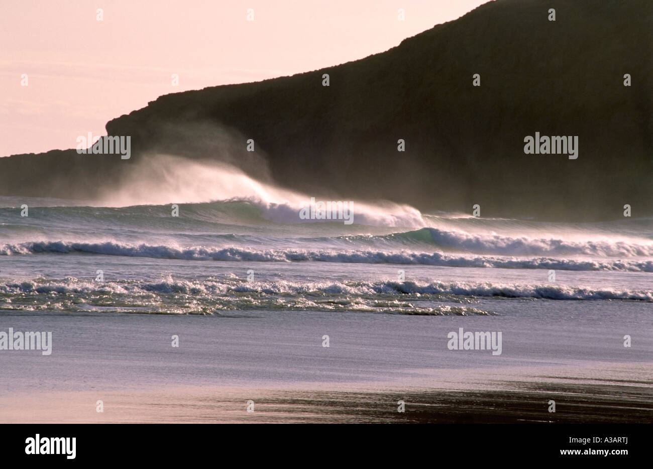 Sandfly Bay Otago Peninsula near Dunedin Otago South Island New Zealand ...