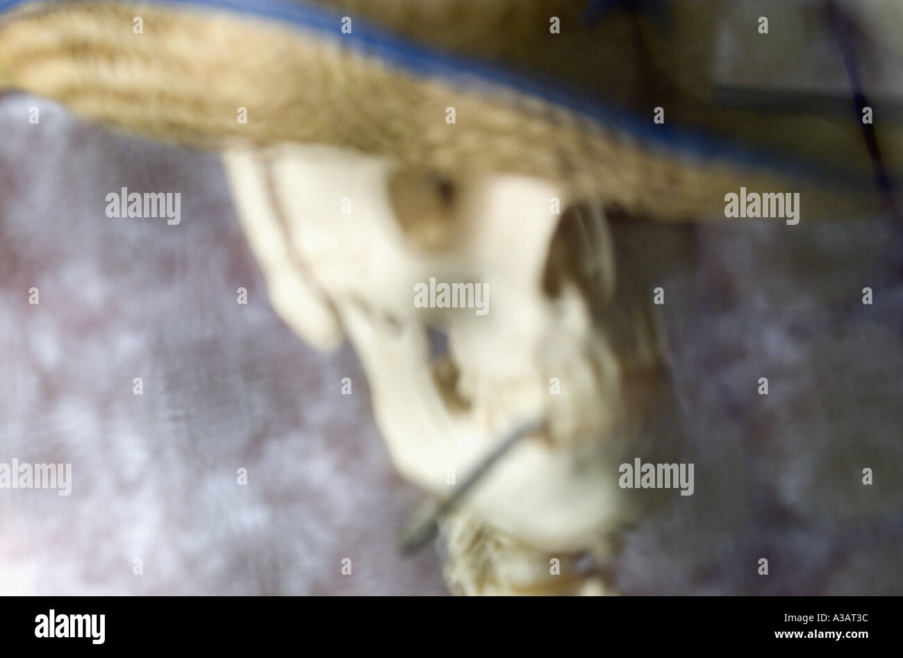 Skeleton smoking cigarette Stock Photo - Alamy