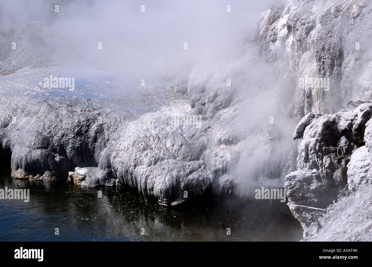 Maori village geyser hi-res stock photography and images - Alamy