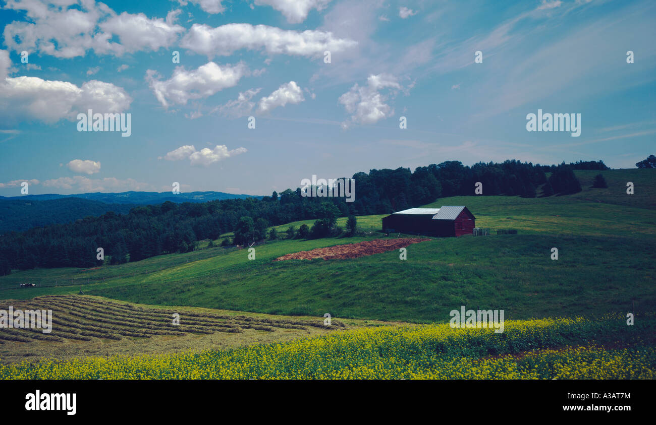 Corinth Vermont Things To Do at Zoe Burdett blog