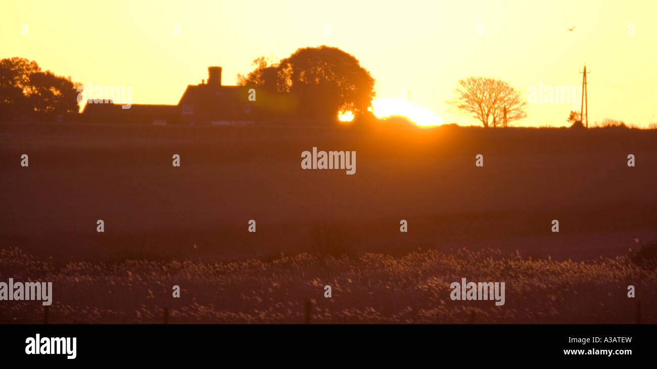 Sunrise over holkham norfolk hi-res stock photography and images - Alamy