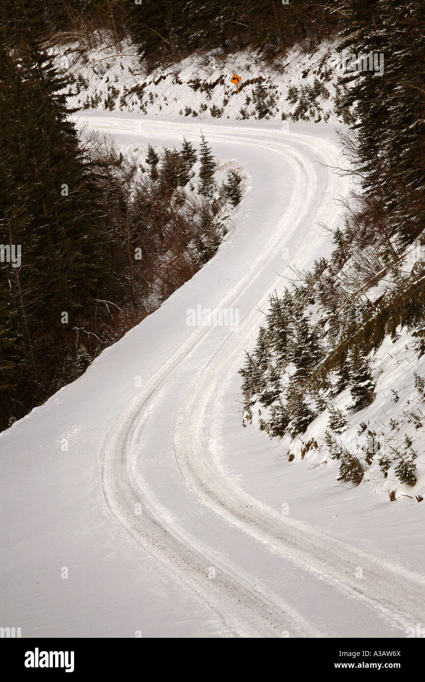 narrow Alberta logging road in winter Stock Photo - Alamy