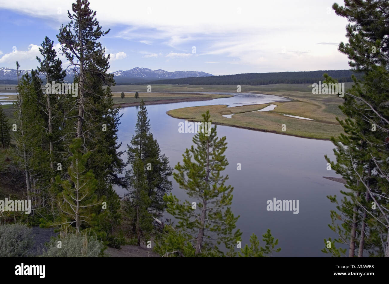 The Yellowstone River flowing majestically through Yellowstone national ...