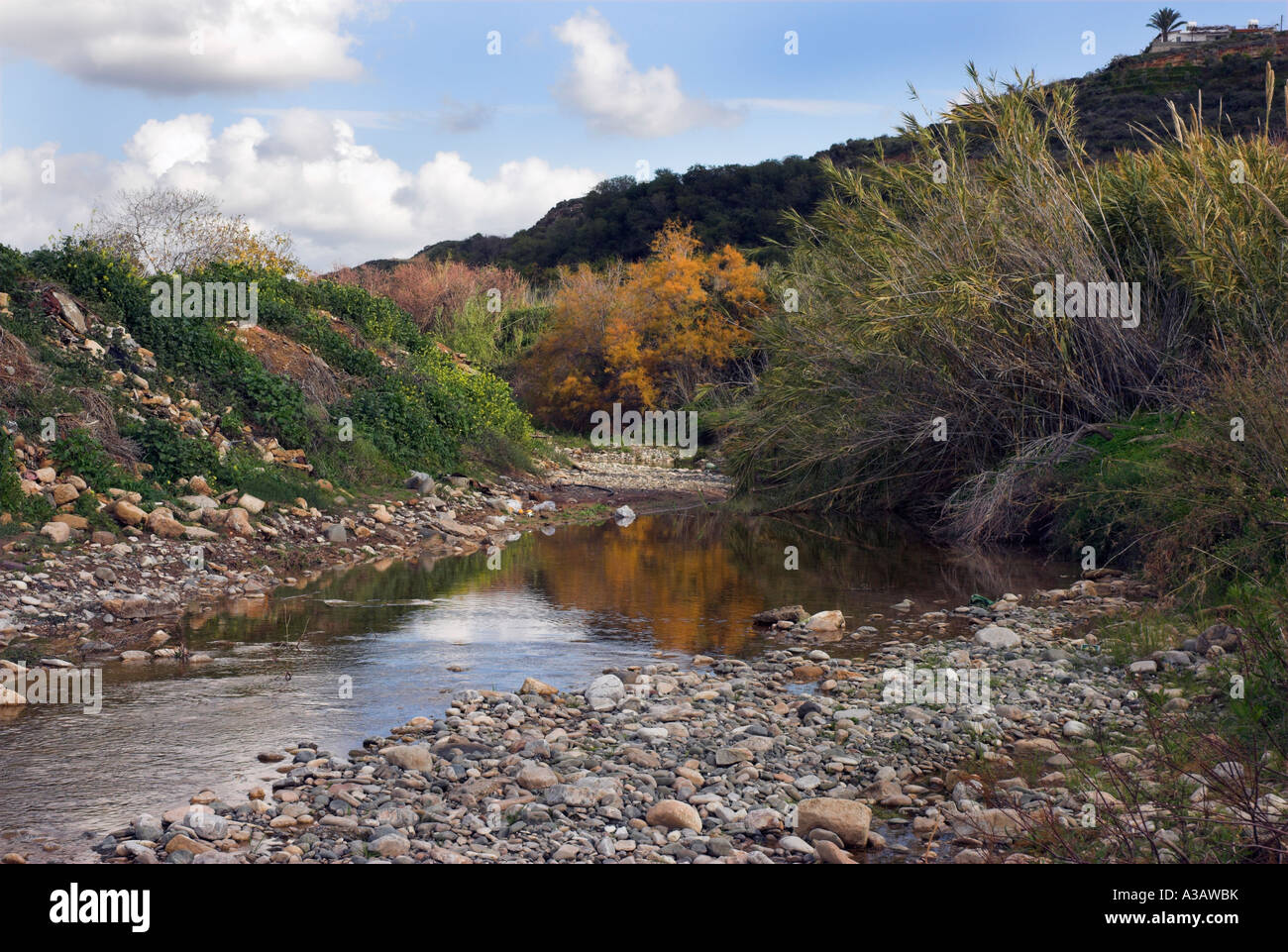 Bird watching in Cyprus Stock Photo - Alamy