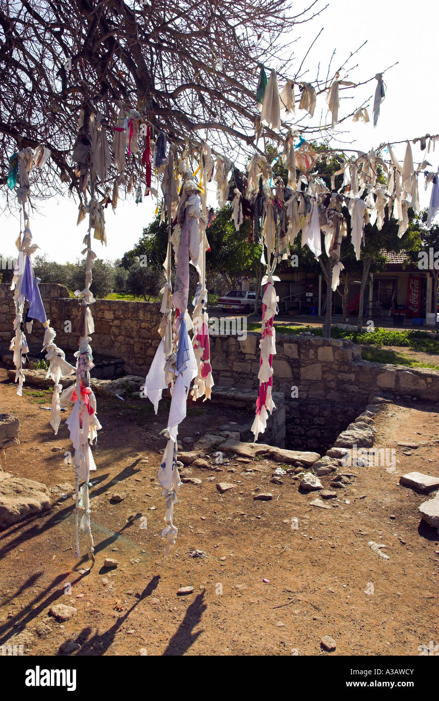Healing Tree. “St Solomon's Catacombs” Paphos Cyprus Stock Photo - Alamy