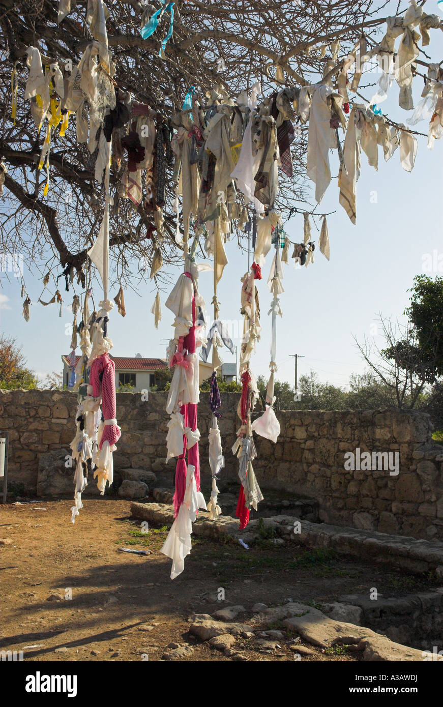 Healing Tree. “St Solomon's Catacombs” Paphos Cyprus Stock Photo - Alamy