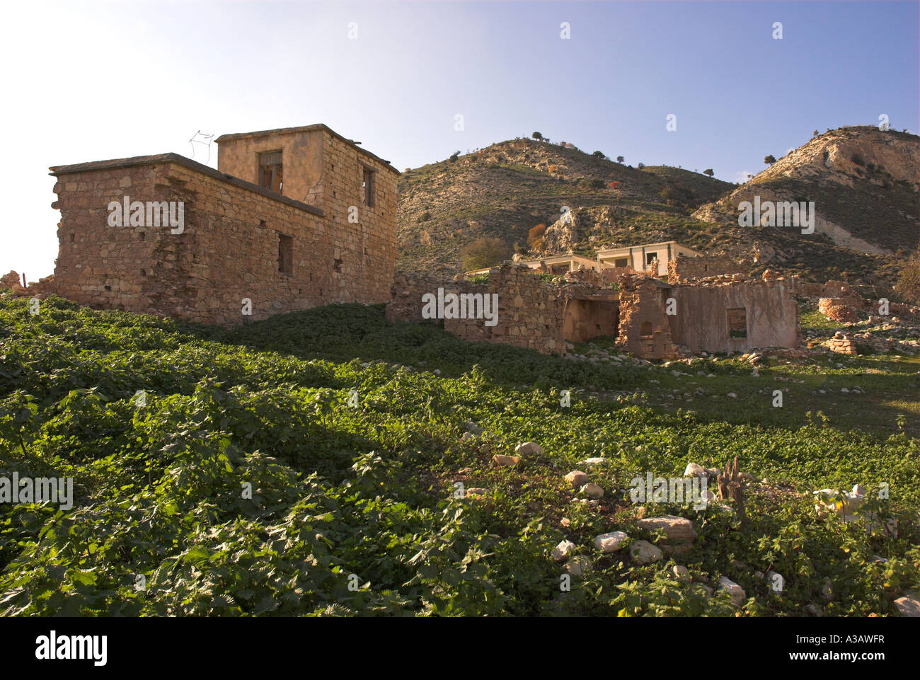 Phinikas cyprus hi-res stock photography and images - Alamy