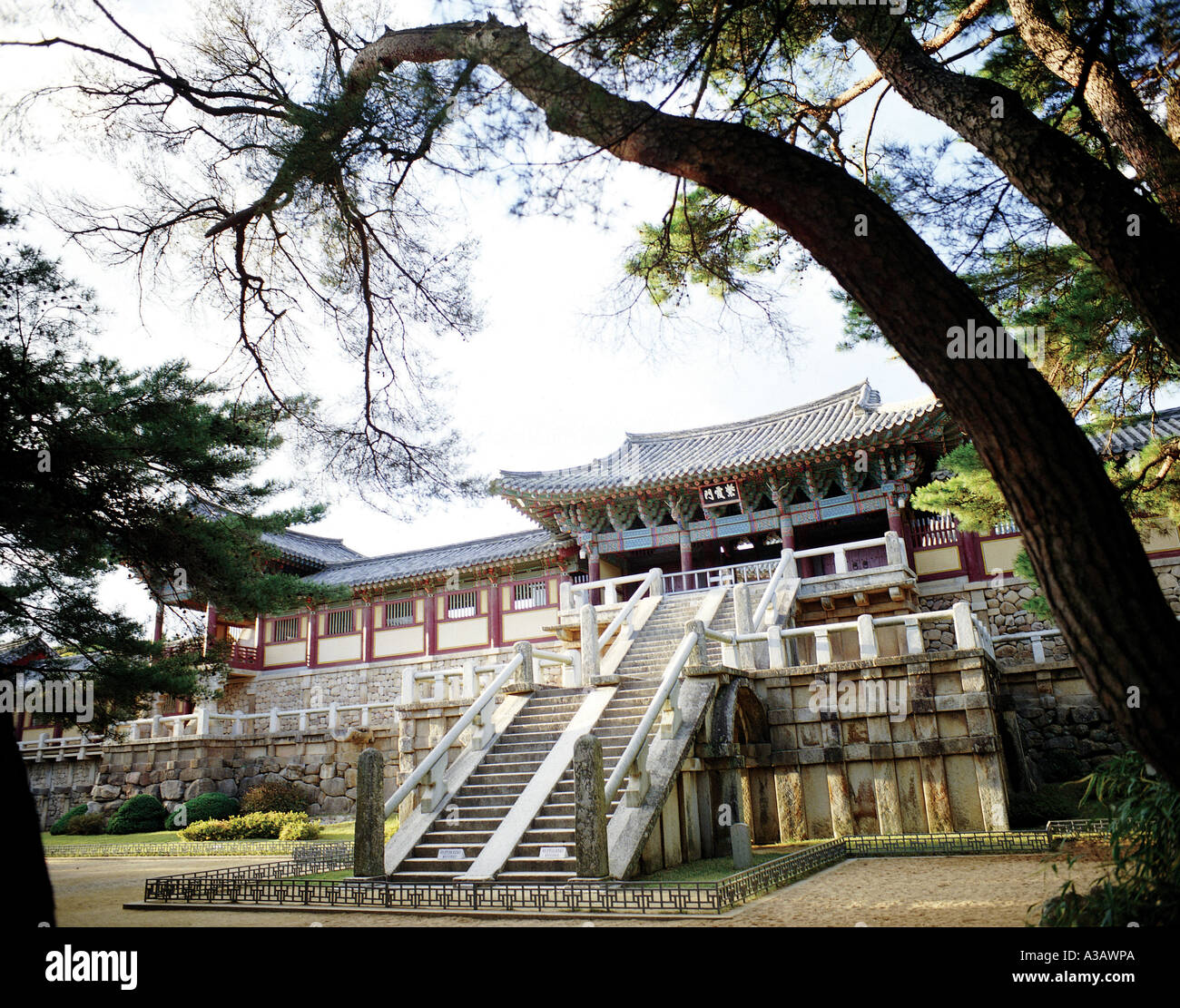 Outdoor exterior day daytime daylight tree stairs staircase stairway hi ...