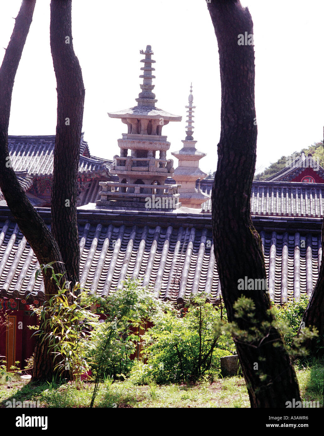 Dabo tower hi-res stock photography and images - Alamy