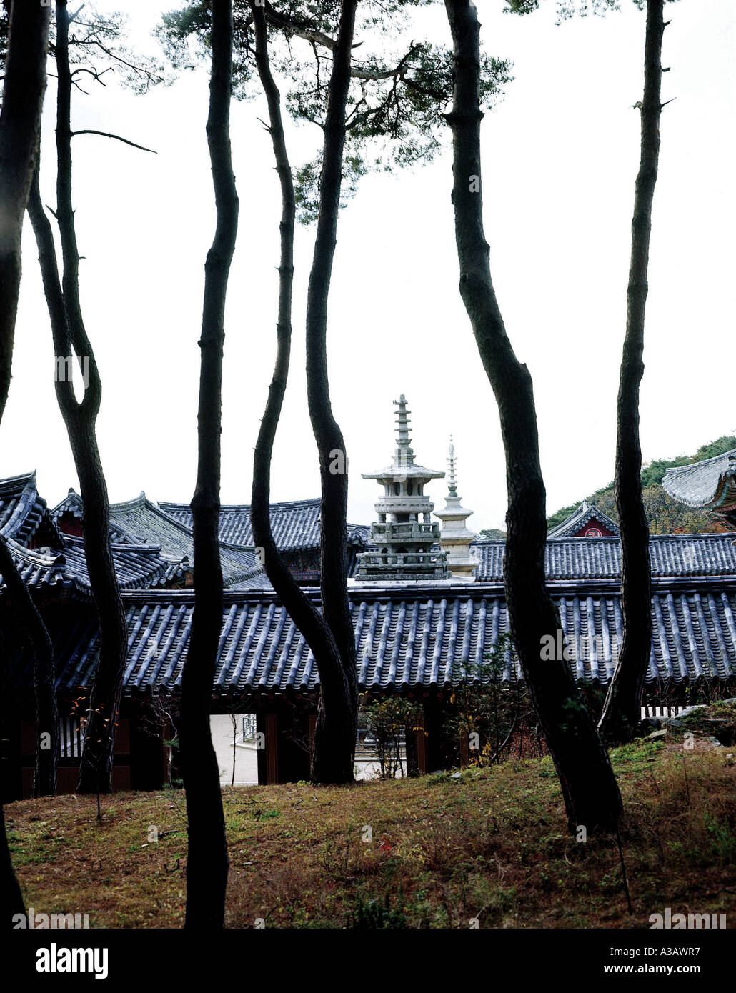 Dabo Tower High Resolution Stock Photography and Images - Alamy