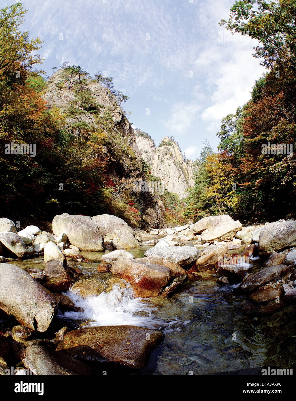 Sor korea hi-res stock photography and images - Alamy