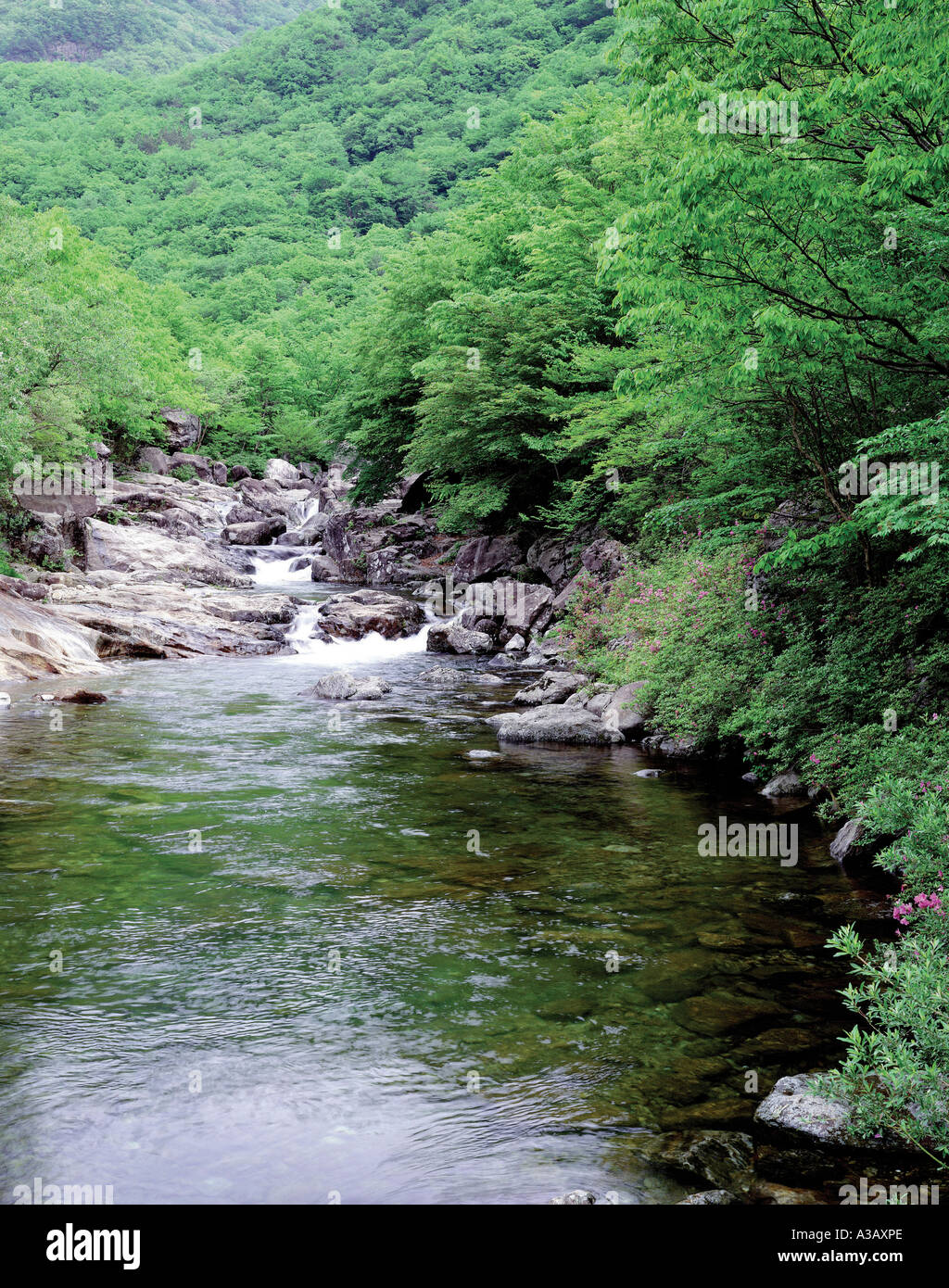 Chiri valley hi-res stock photography and images - Alamy