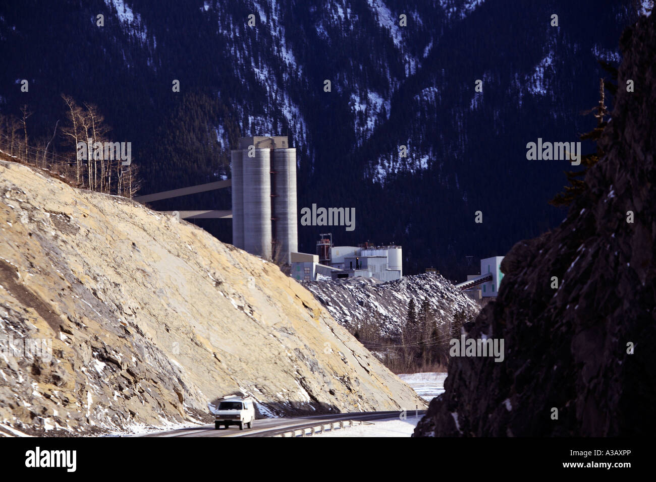 Plant exshaw hi-res stock photography and images - Alamy