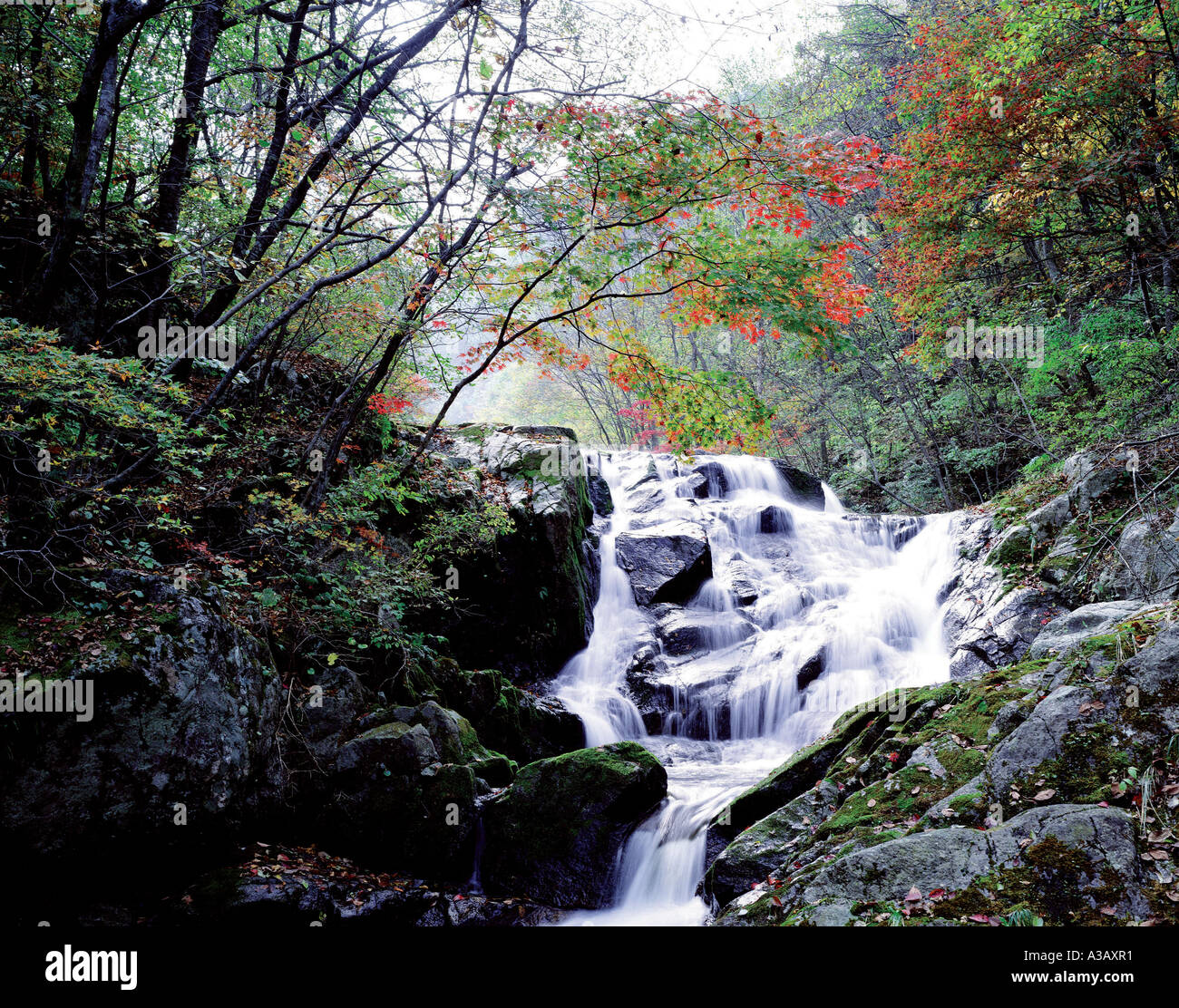 Kangwondo hi-res stock photography and images - Alamy