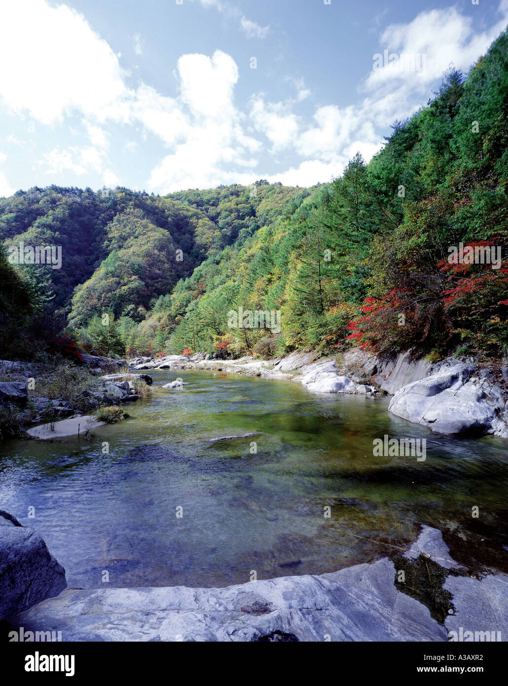 Kangwondo High Resolution Stock Photography and Images - Alamy