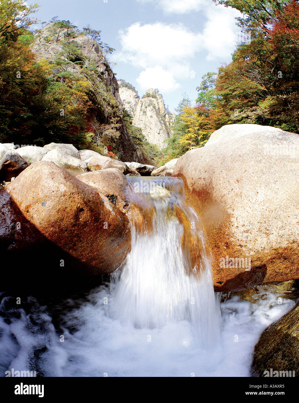 Sor korea hi-res stock photography and images - Alamy