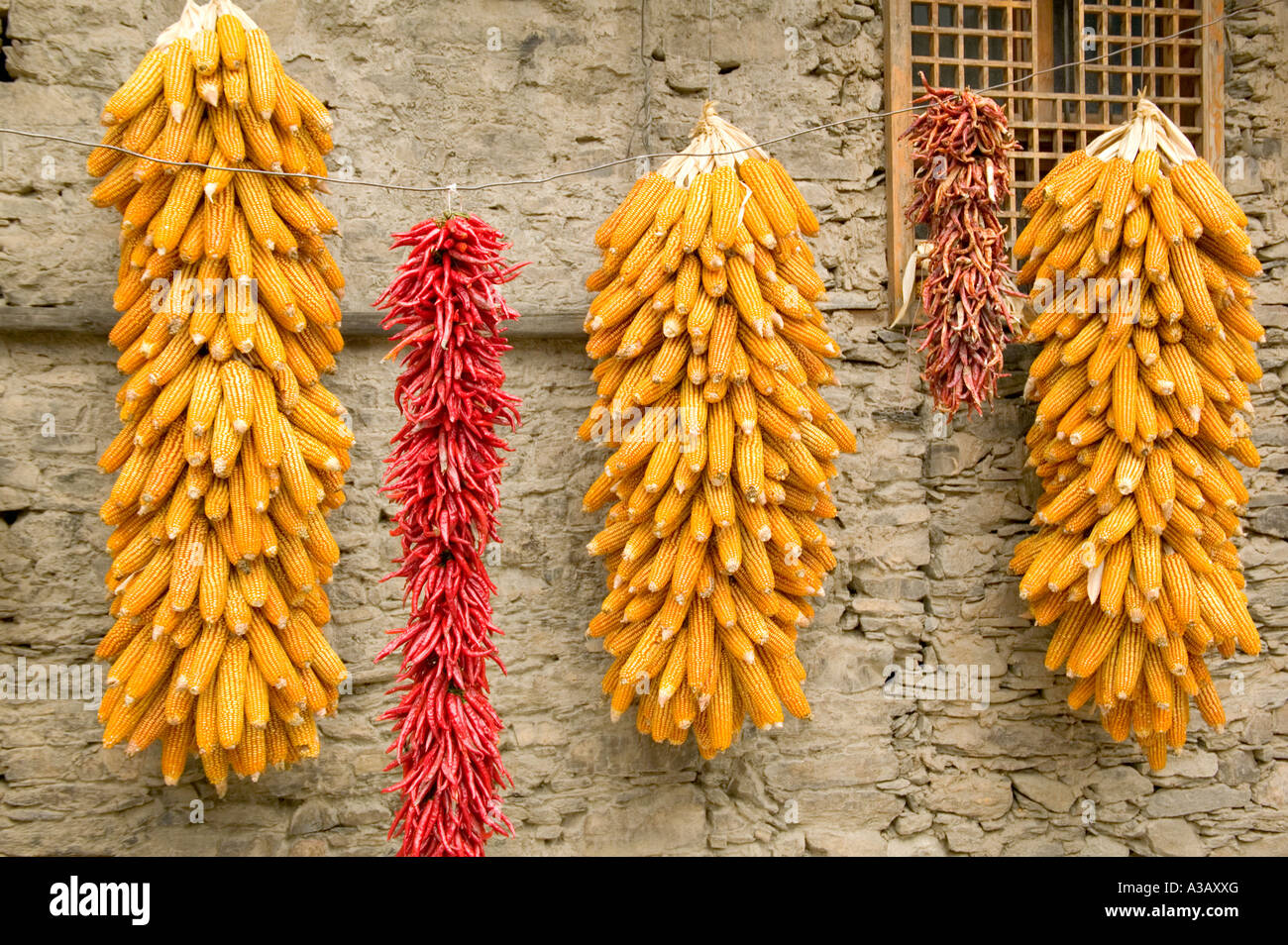 Yellow corn with red peppers drying, Taoping village Stock Photo - Alamy