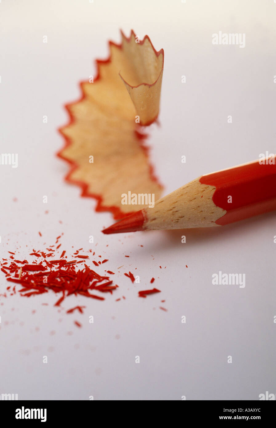 A color pencil being sharpened Stock Photo - Alamy