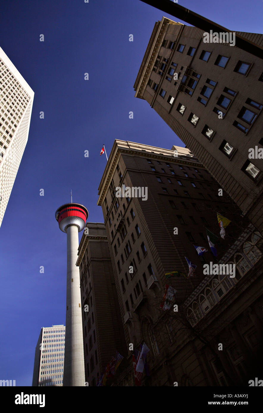 buildings in downtown Calgary Stock Photo - Alamy